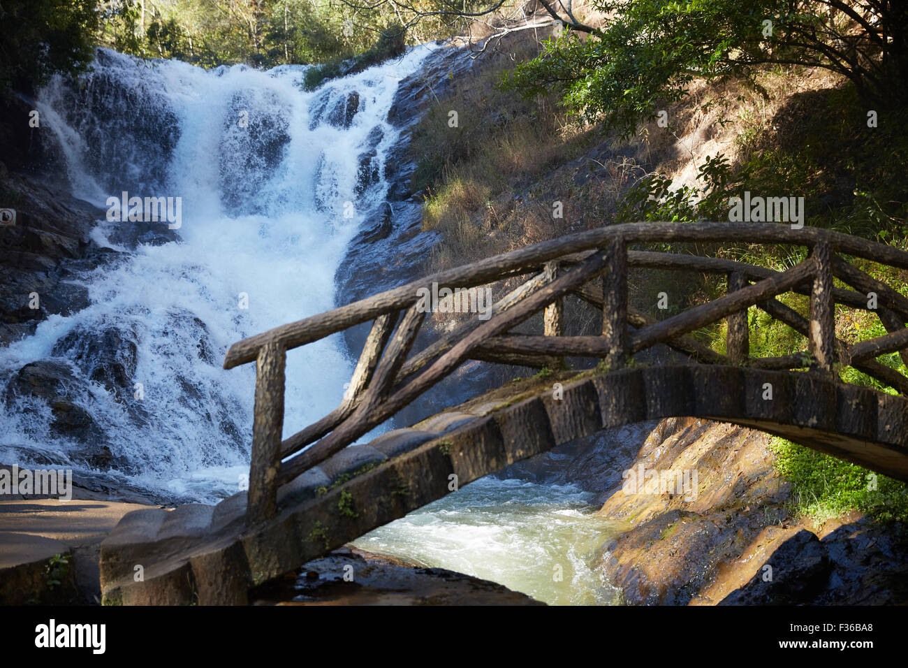 bridge of logs across a stream in a forest in Vietnam Stock Photo - Alamy