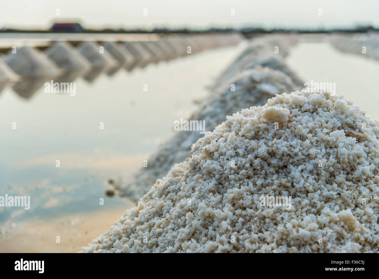 Row of salt in the salt farm4 Stock Photo - Alamy