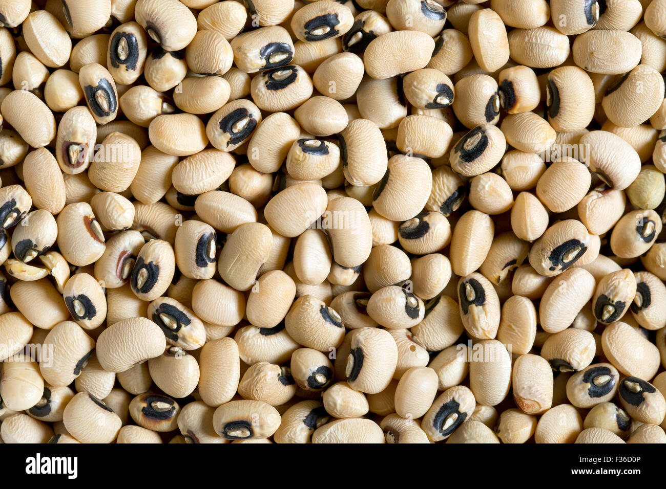 pattern of white uncooked beans Stock Photo - Alamy
