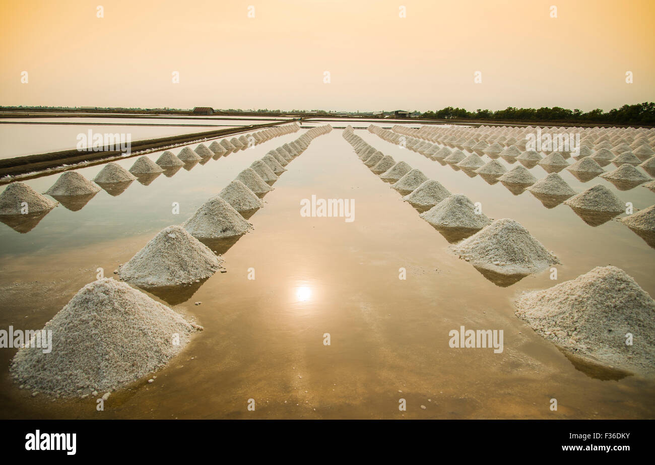 Salt farm scene in Thailand with sunset2 Stock Photo - Alamy