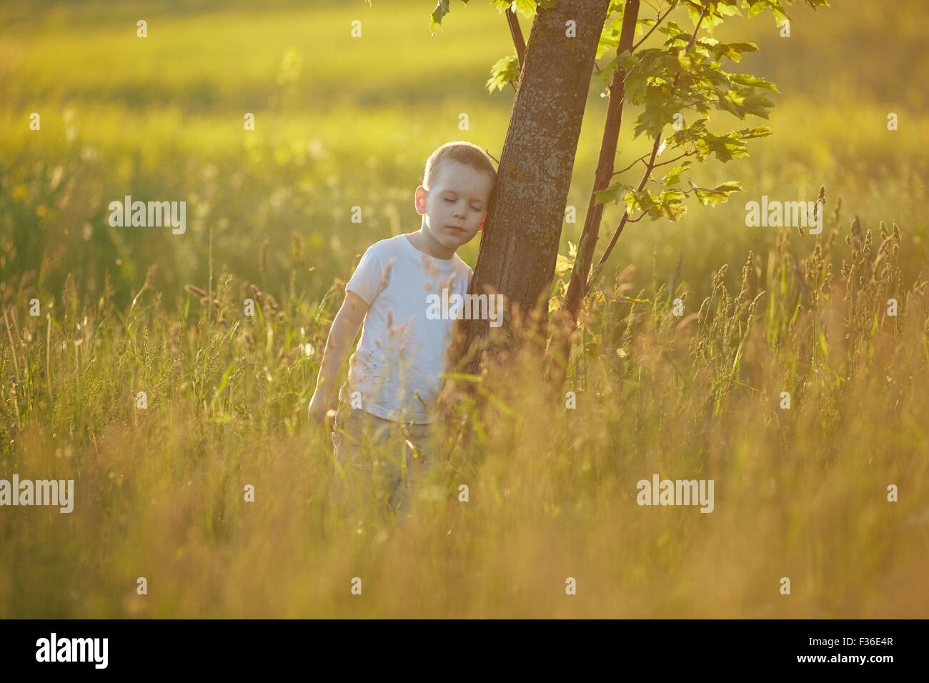 boy is leaning against a tree Stock Photo - Alamy