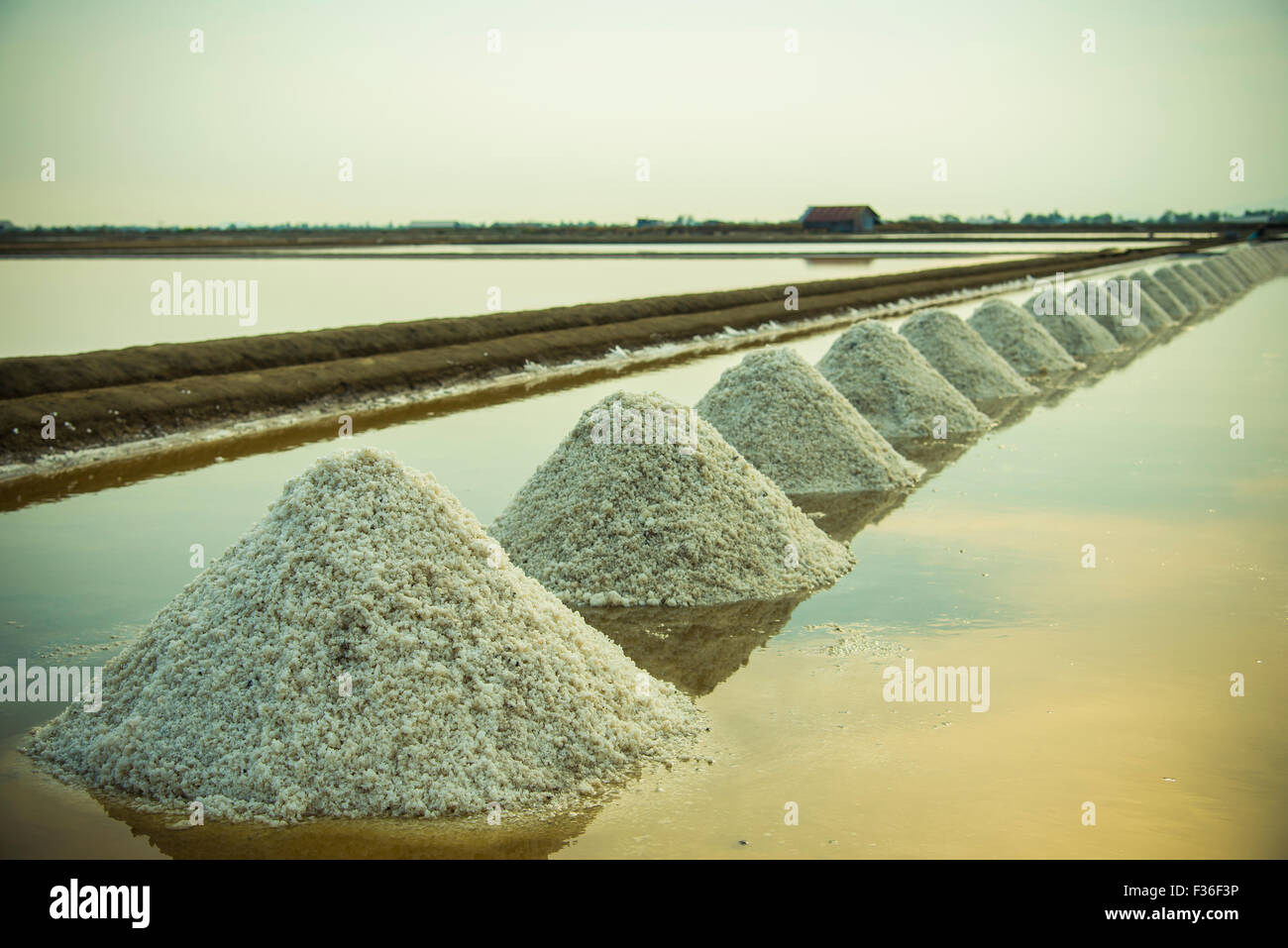 Salt farm scene in Thailand Stock Photo - Alamy