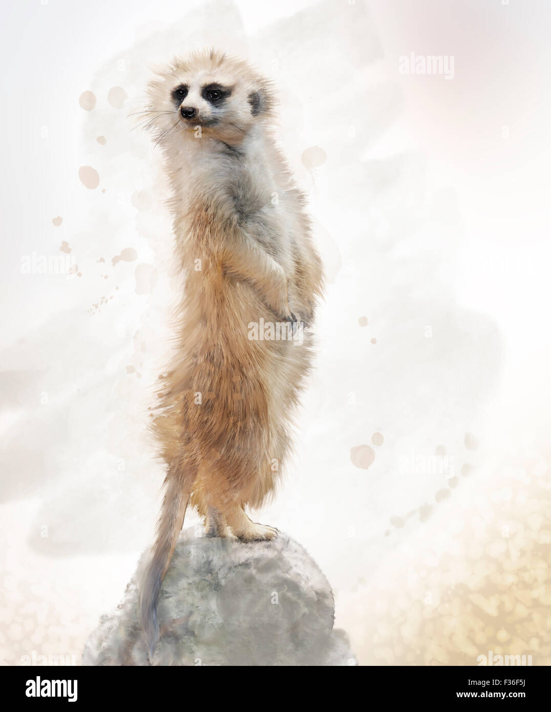 Meerkat Painting Meerkats Art Print By Olivia Bezett Endemicworld