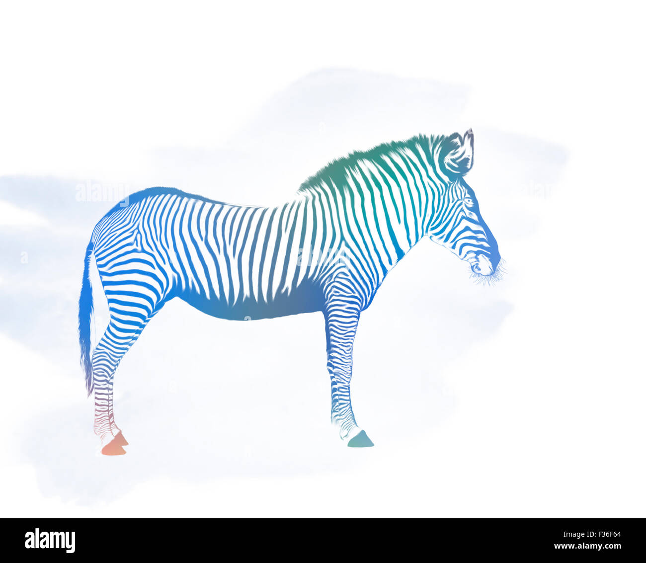 Digital Painting of Colorful Zebra Stock Photo - Alamy