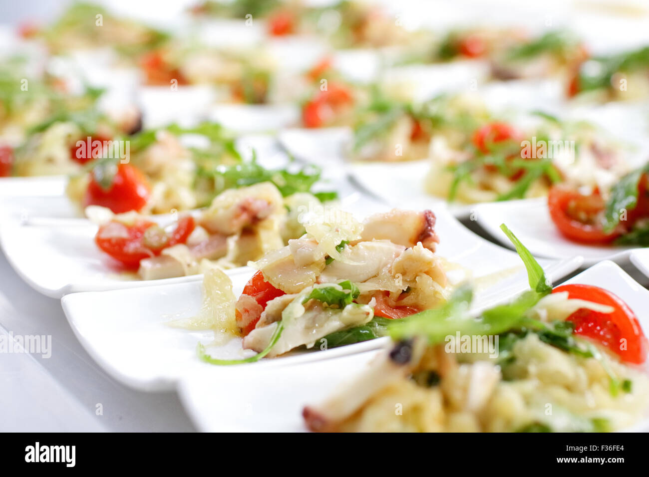 Swedish table appetizers: tomatoes, cheese, arugula, octopus, onion ...