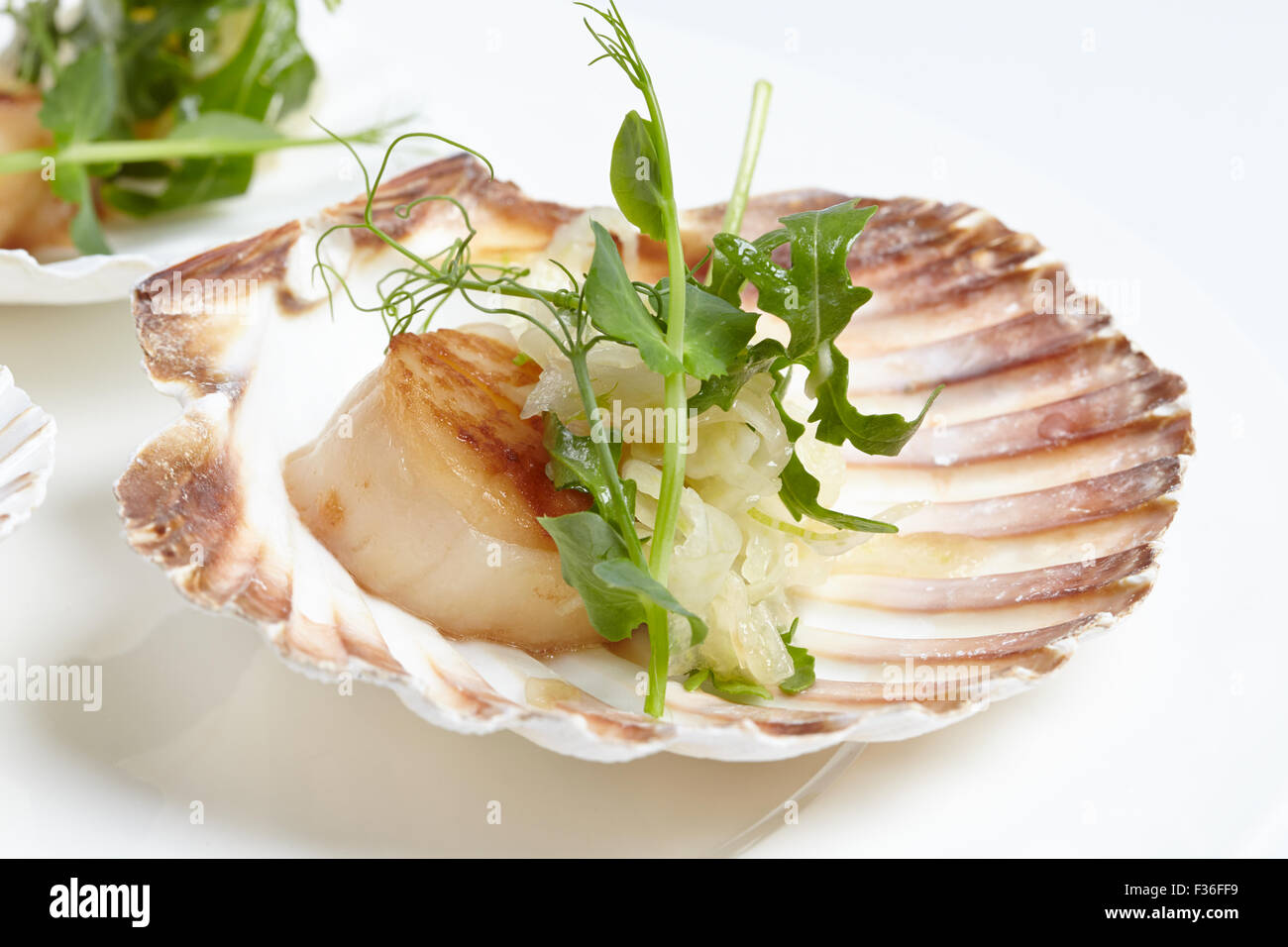 Appetizerclose up hi-res stock photography and images - Alamy