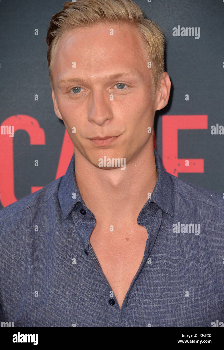 LOS ANGELES, CA - AUGUST 17, 2015: Will Tudor at the Los Angeles ...
