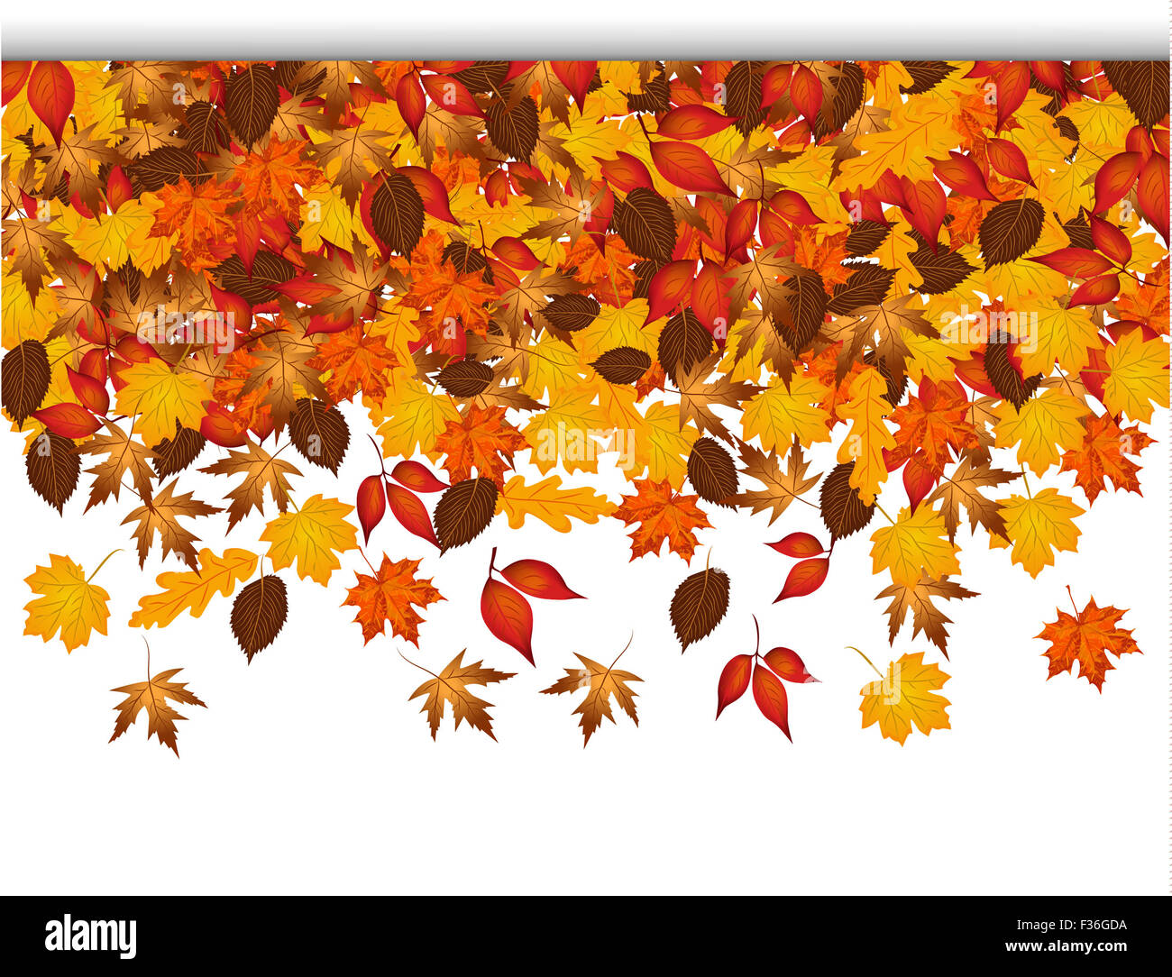 Autumn leaves falling from top, vector background Stock Photo - Alamy