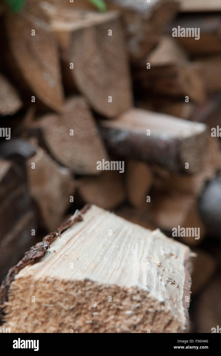 Small log with a large pile of logs in the background Stock Photo - Alamy