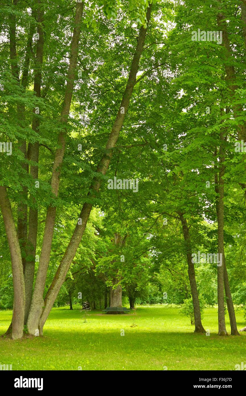 Beautiful park view Stock Photo - Alamy