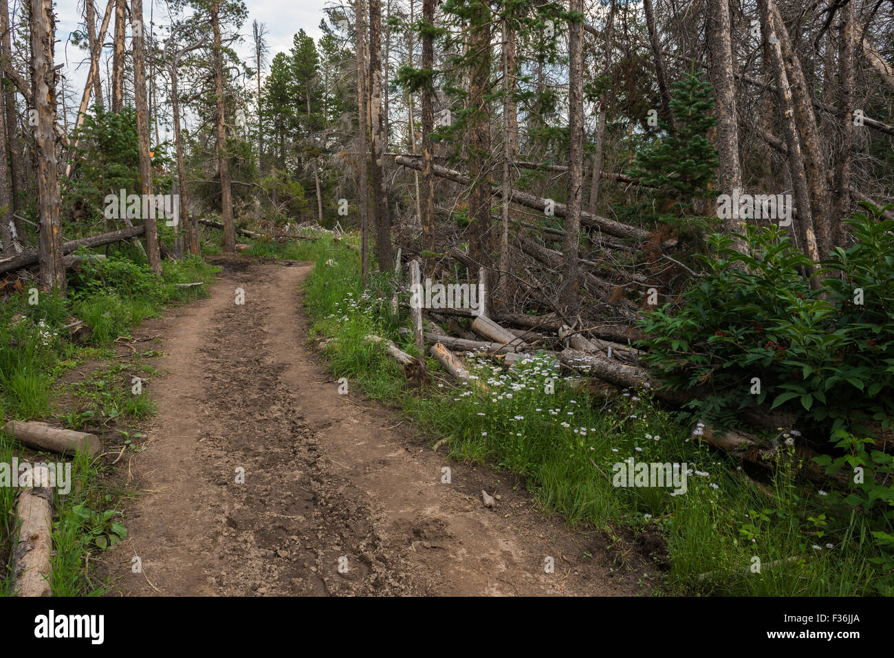 Dust trail hi-res stock photography and images - Alamy