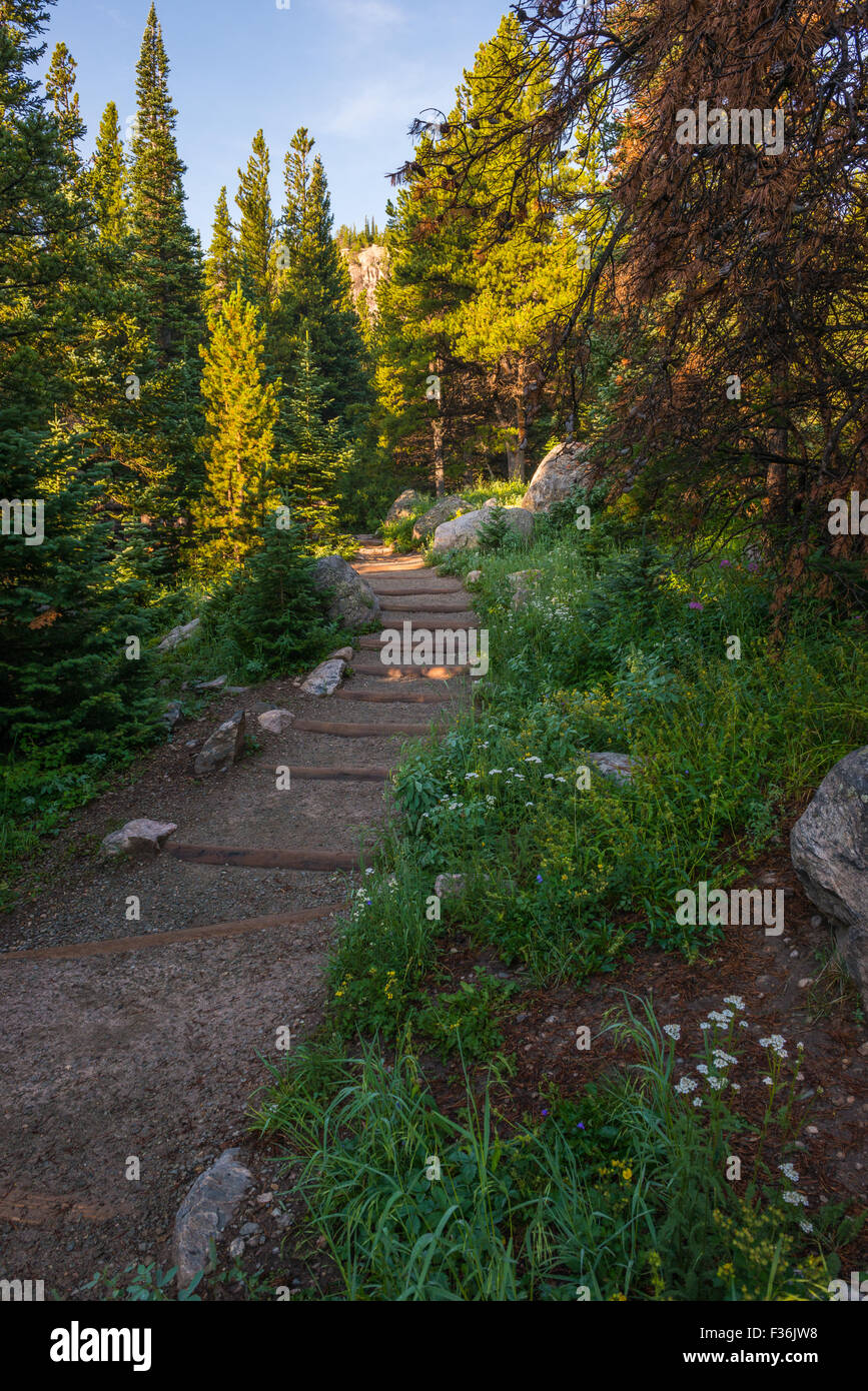 Quiet forest trail hi-res stock photography and images - Alamy