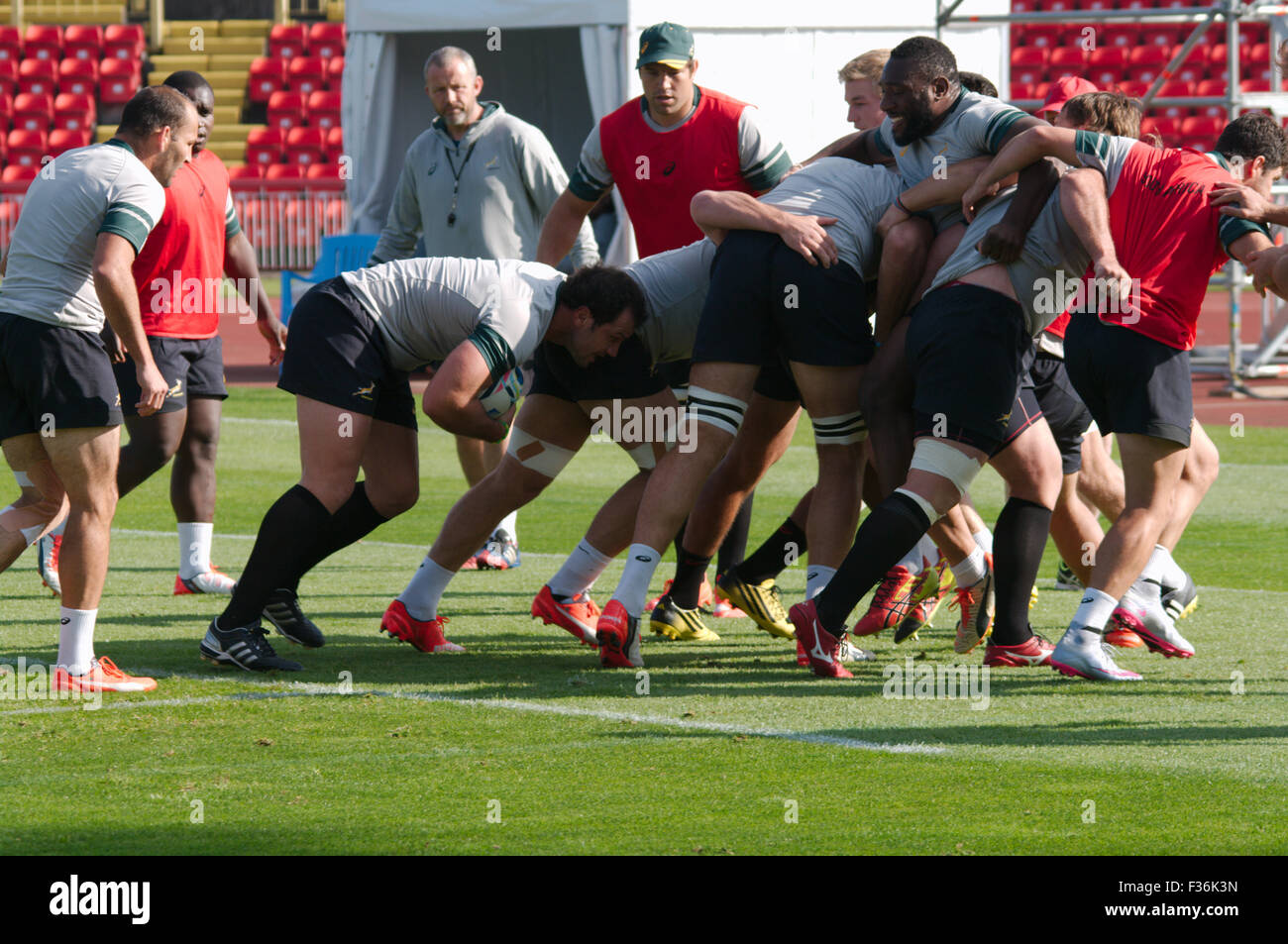 Gateshead, UK. 30 September, 2015. South Africa training, Rugby World ...