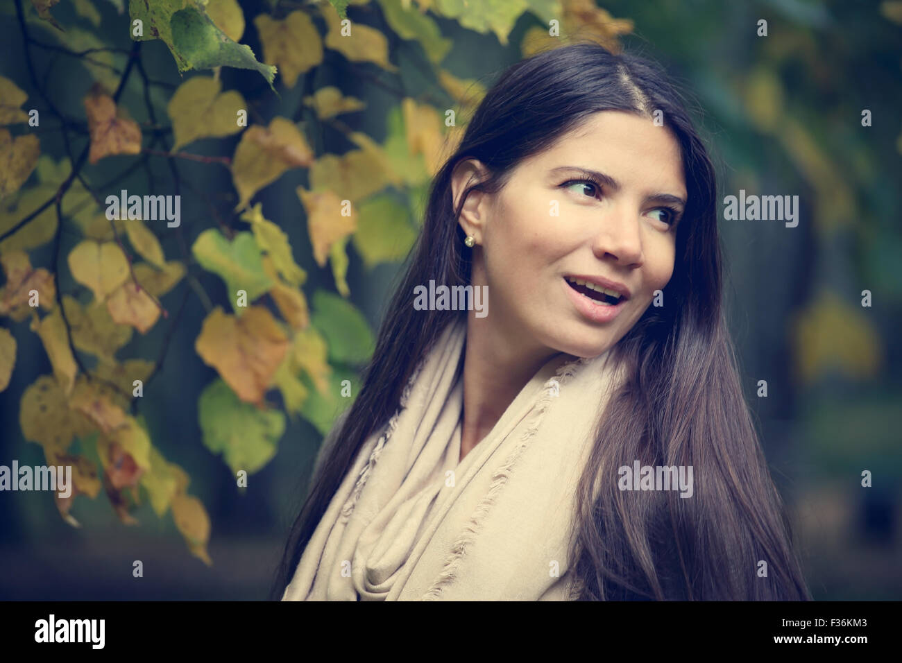 Beautiful brunette woman portrait on autumn tree background Stock Photo ...