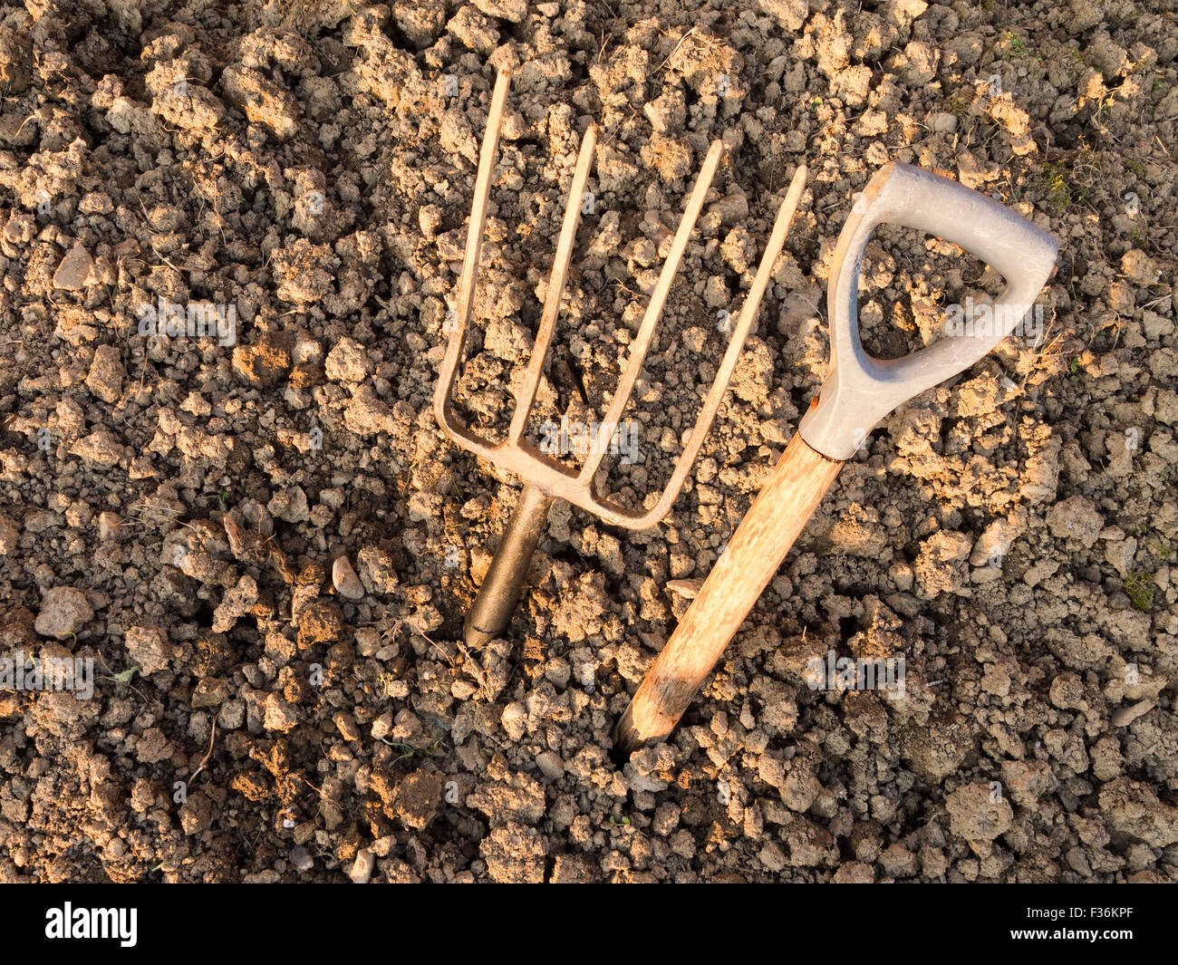 The end of a hard day's work. Broken fork in terrible soil. But still ...