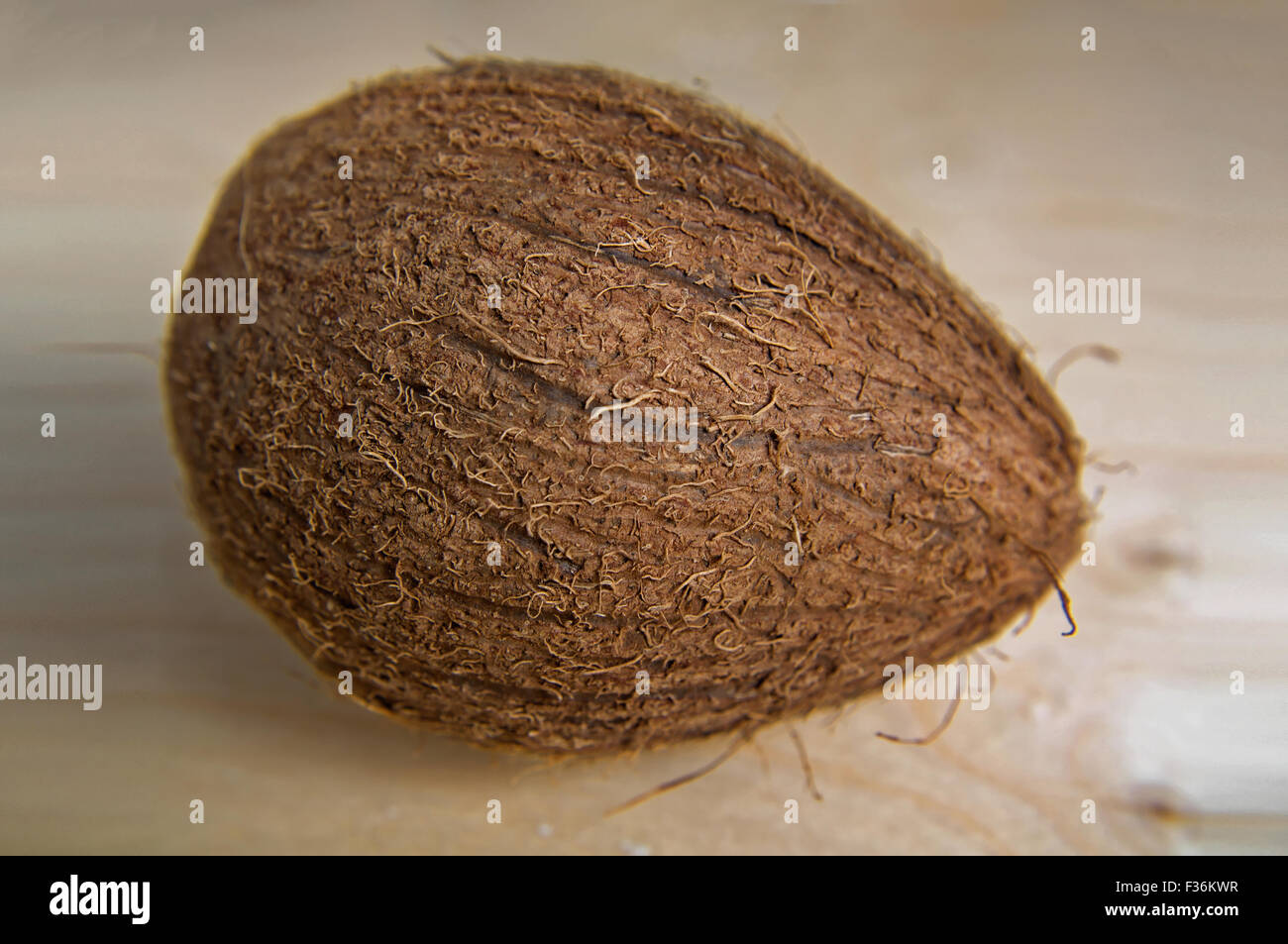 Large whole coconut with hairy surface Stock Photo - Alamy