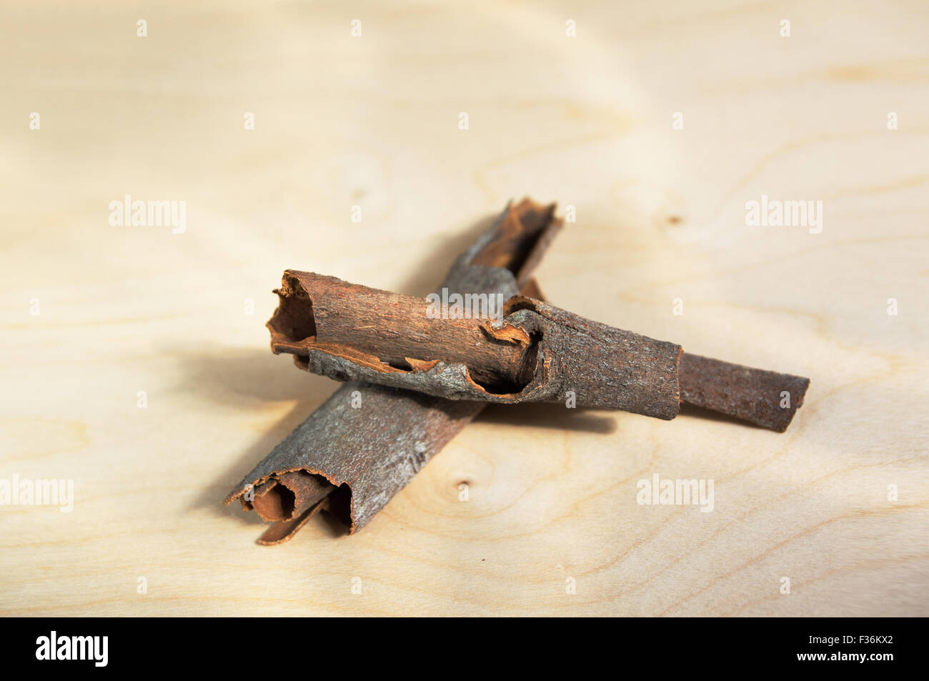 Tree of cinnamon Strong Indian sweet flavor spice Stock Photo - Alamy