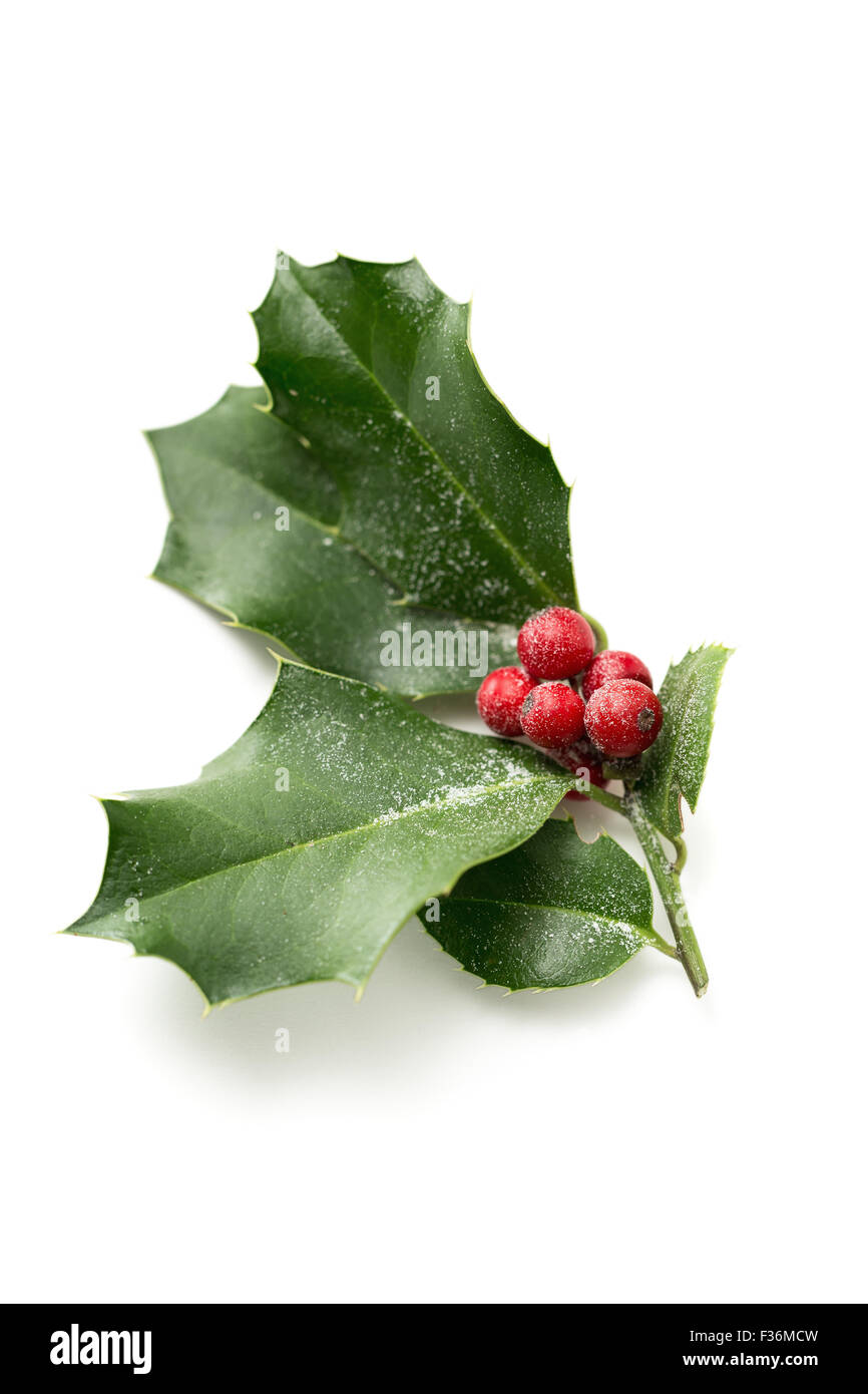 Red berries snow berry xmas hi-res stock photography and images - Alamy