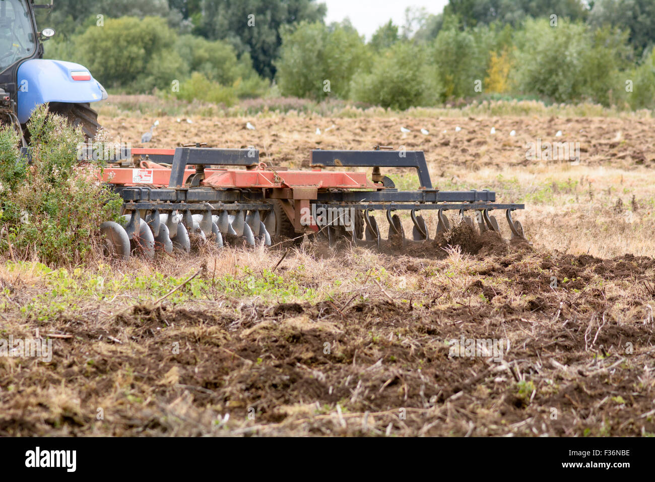 Farmer using tractor to plough field as autumn approaches in Bedford ...