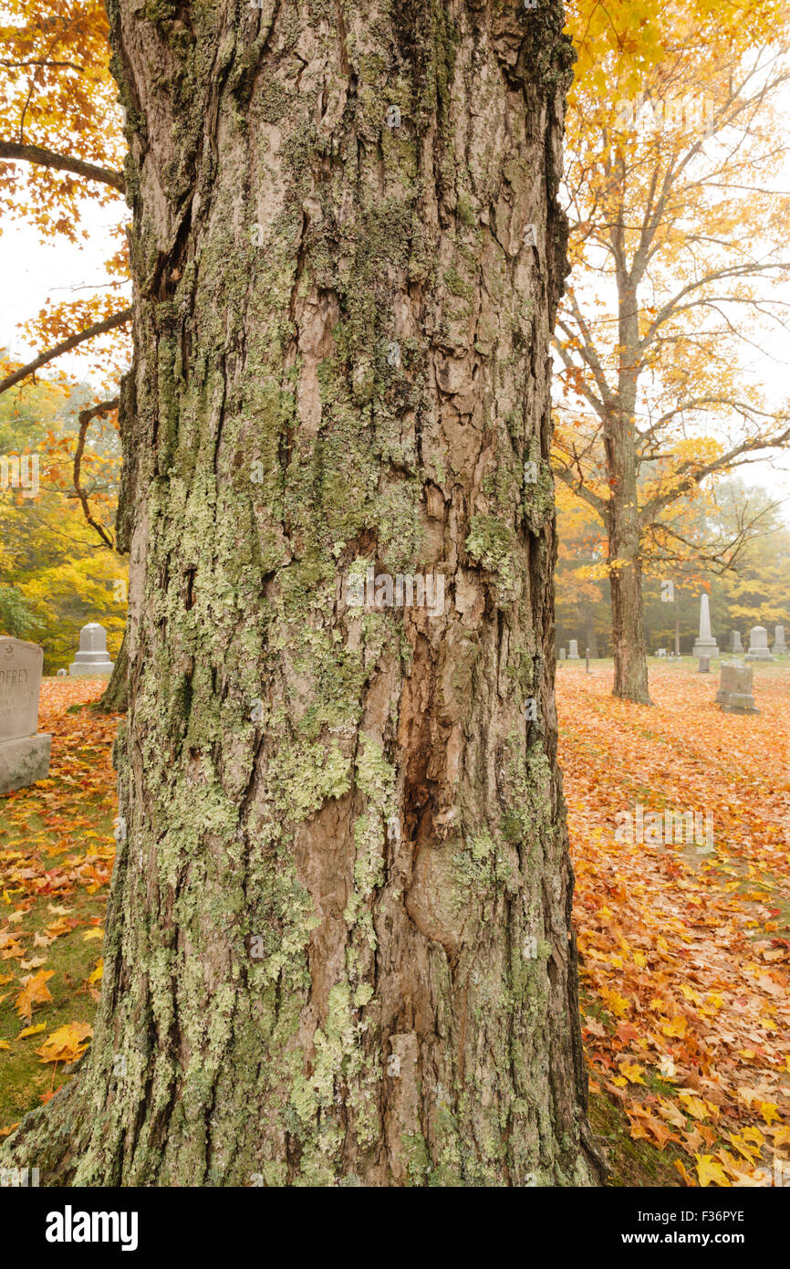 Candia Village Cemetery during the autumn months. Located in Candia ...