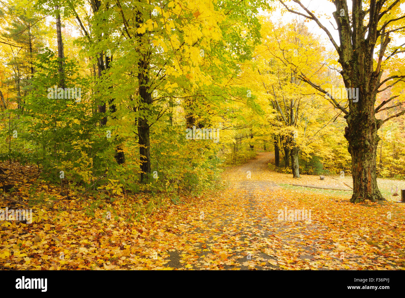 South Side Cemetery in Nottingham, New Hampshire USA during the autumn ...