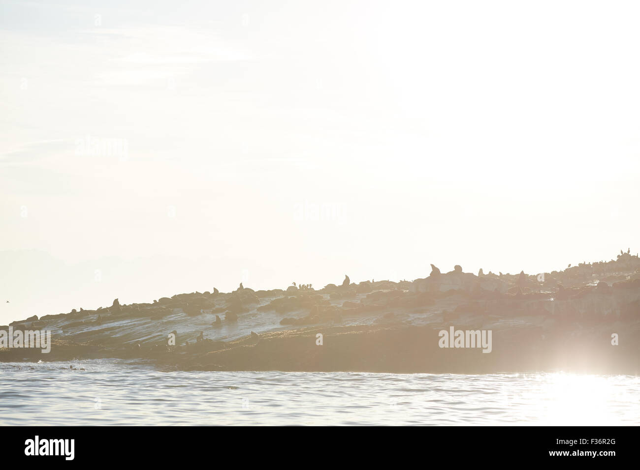 beautiful sea landscape in South Africa Stock Photo - Alamy