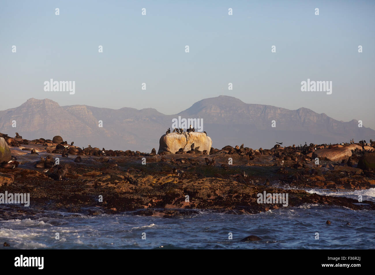 beautiful sea landscape in South Africa Stock Photo - Alamy