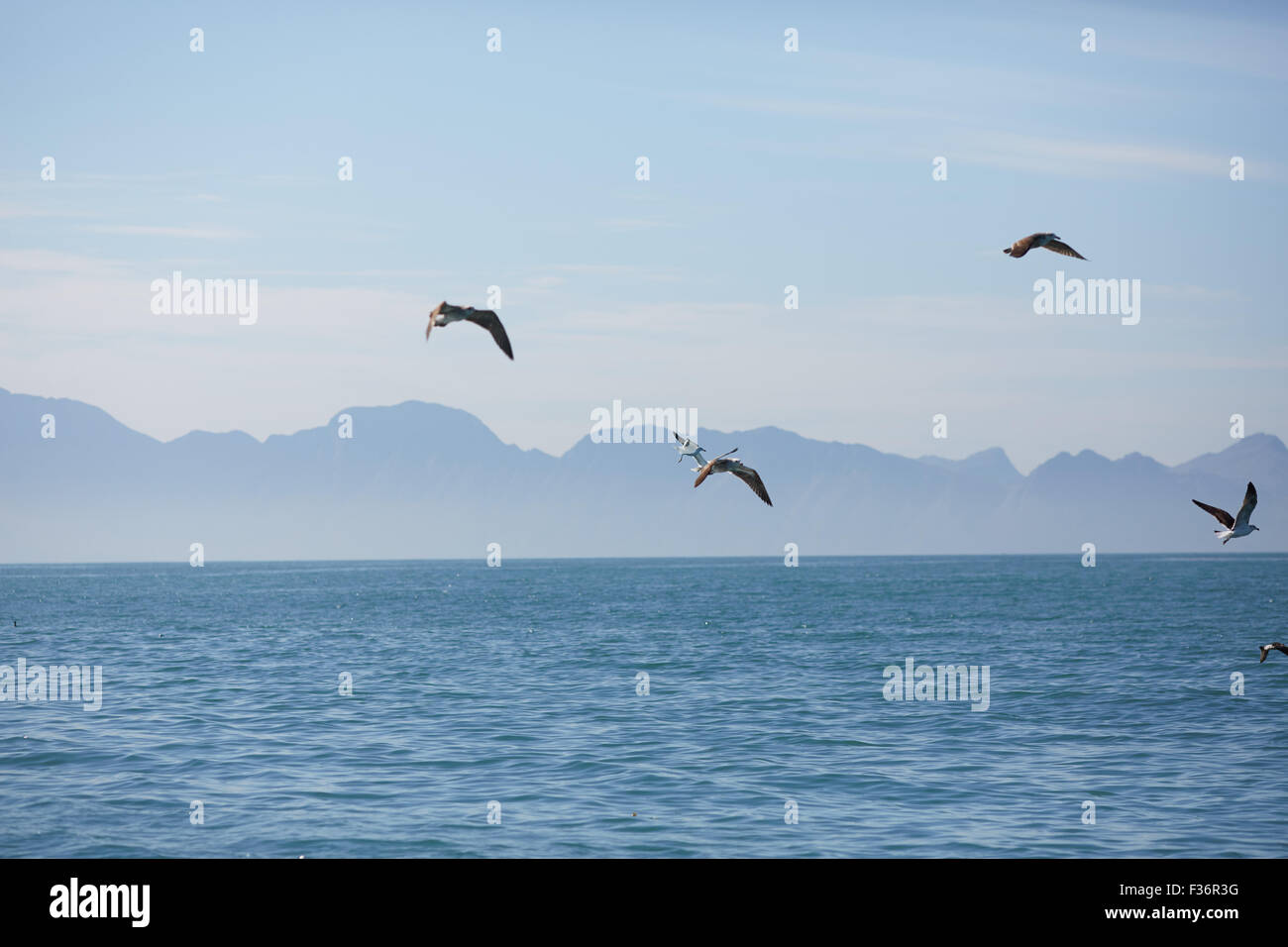 beautiful sea landscape in South Africa Stock Photo - Alamy