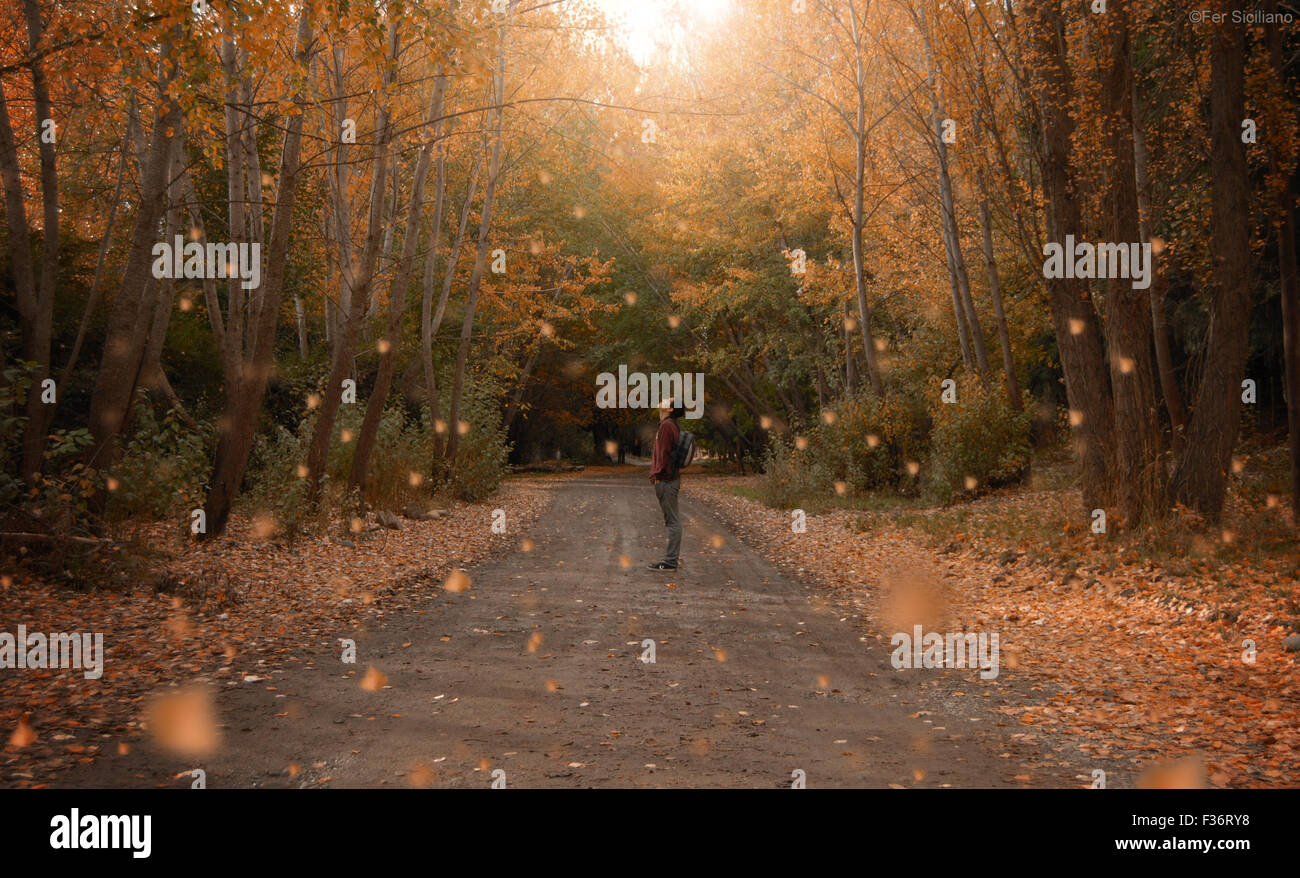 boy in the middle of the road watching the trees while the lieves fall ...