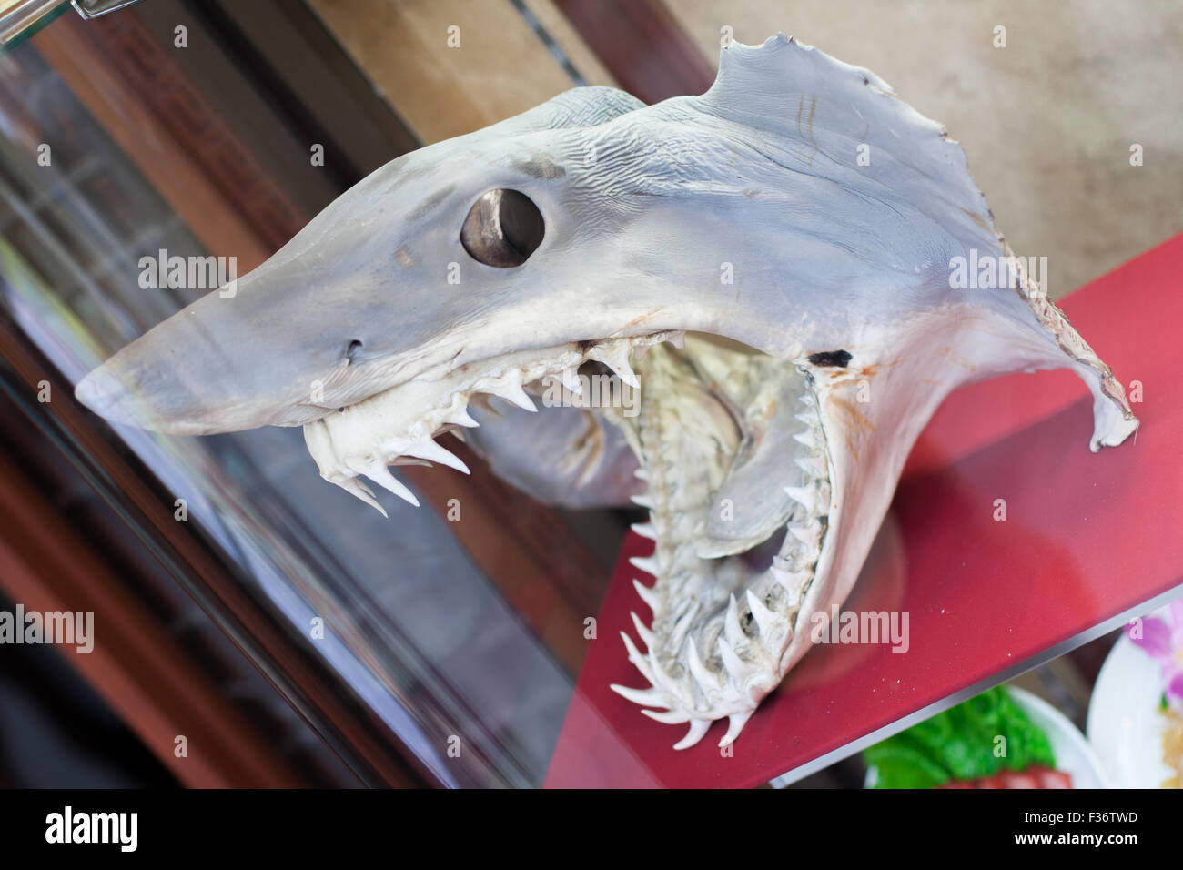 Shark fin china hi-res stock photography and images - Alamy
