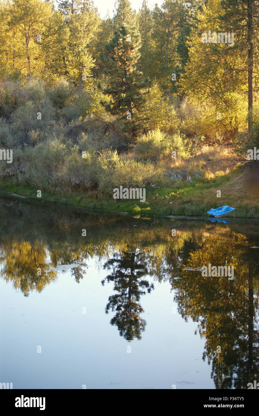 Gold pond hi-res stock photography and images - Alamy