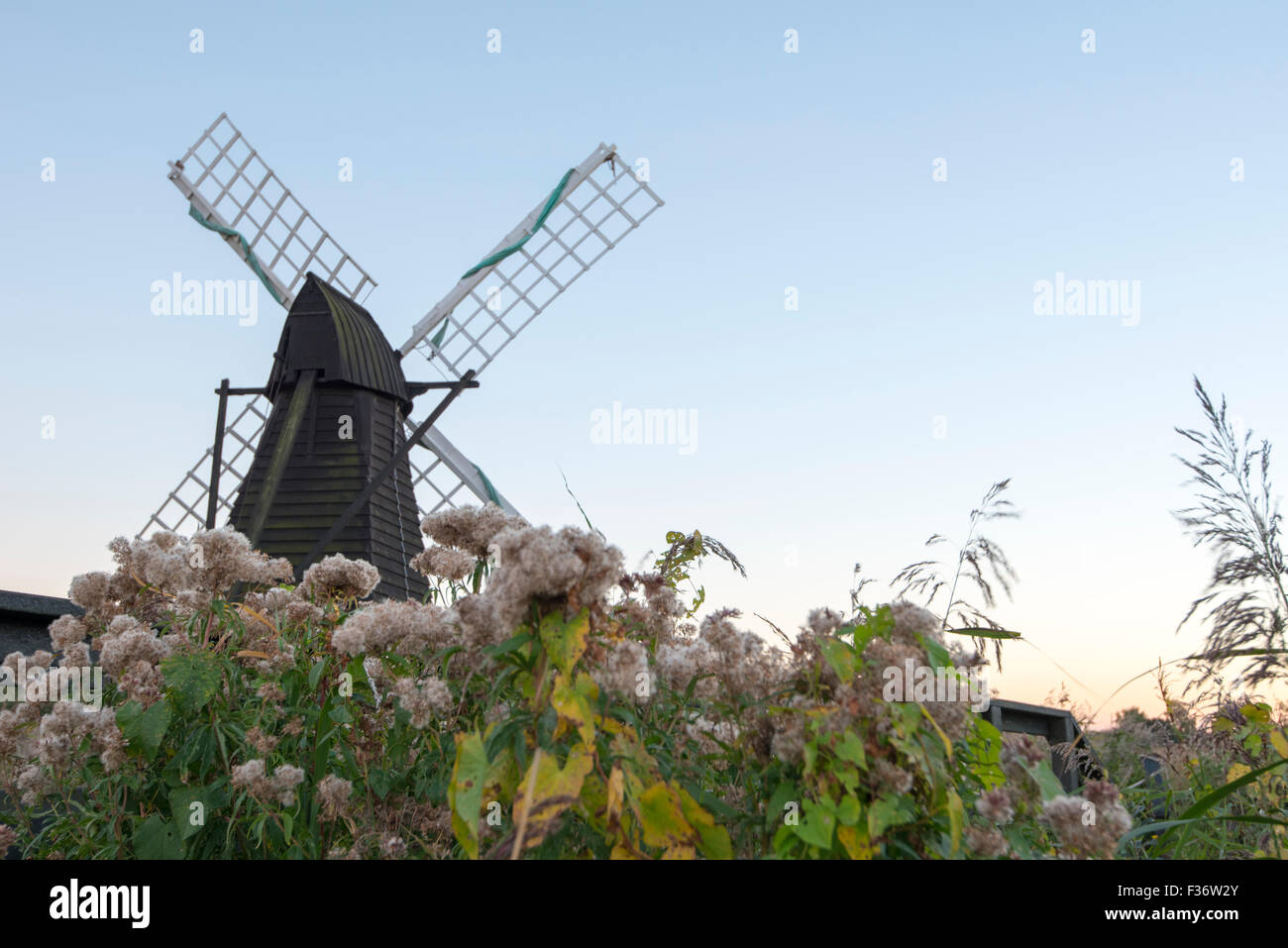 Evening windmill at Wicken Fen Stock Photo - Alamy