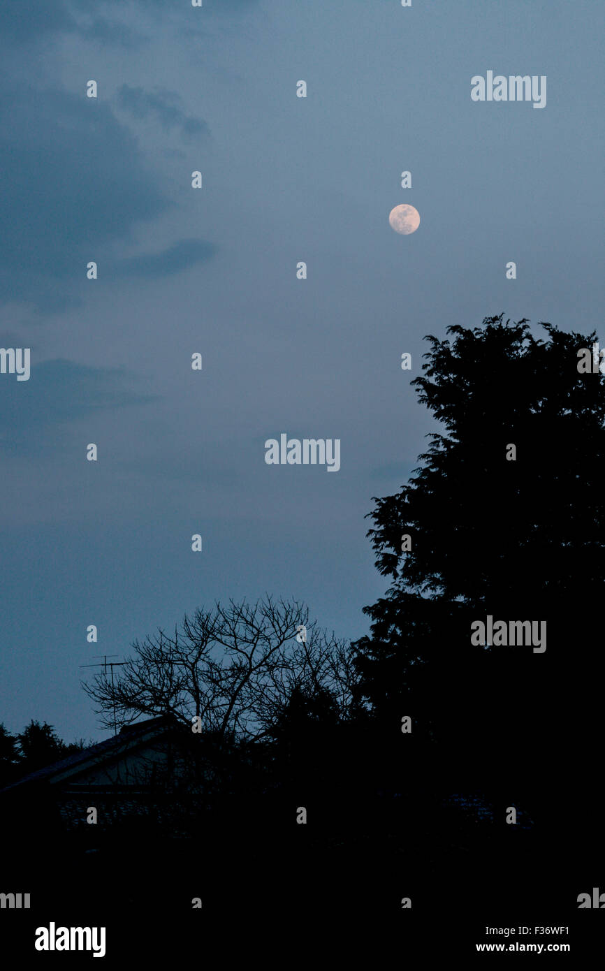 Full moon in the dark blue sky at dusk or dawn silhouette Stock Photo ...