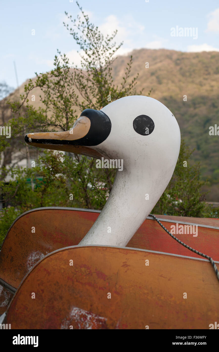 Swan boat head between to turned over row boats Stock Photo - Alamy