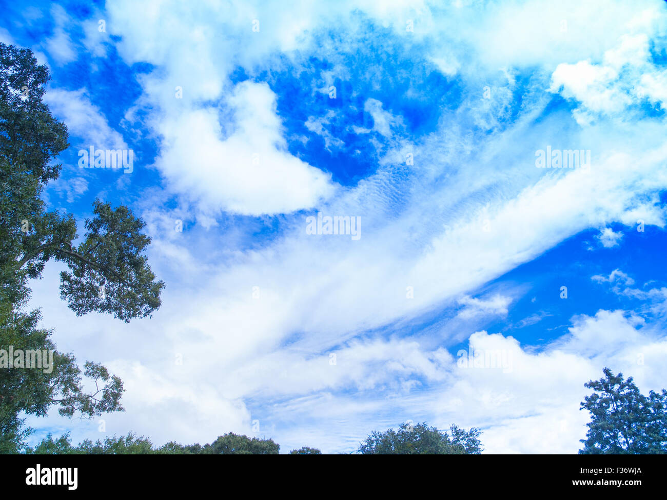 Blue Sky and Bumpy Clouds Stock Photo - Alamy
