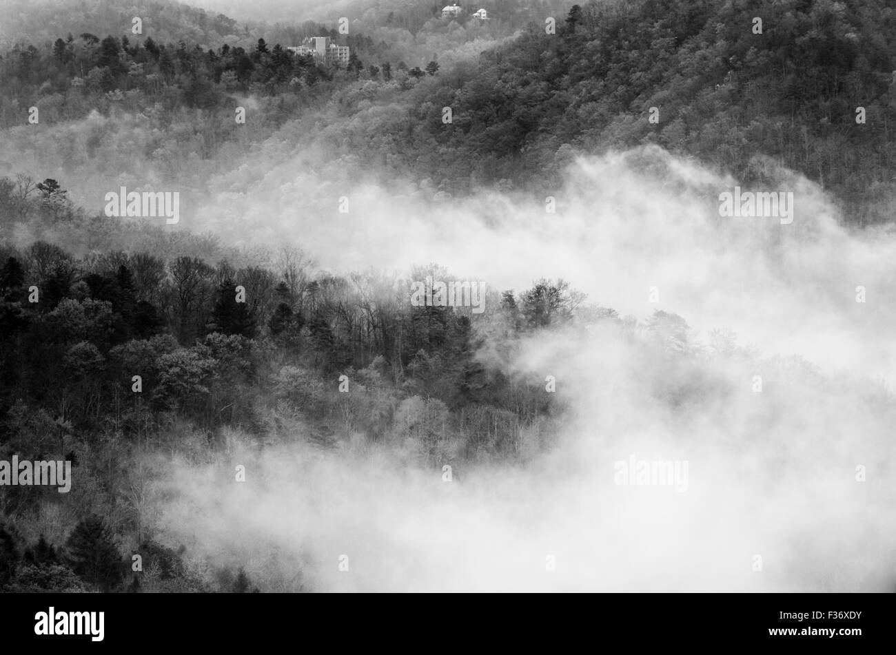 Mist misty foggy Black and White Stock Photos & Images - Alamy