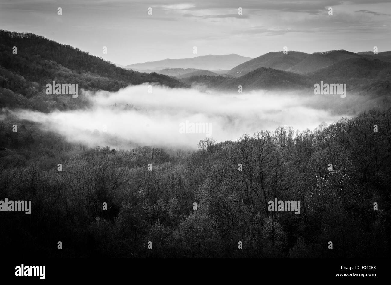 Mist lying in the valleys of the Great Smoky Mountains National Park ...