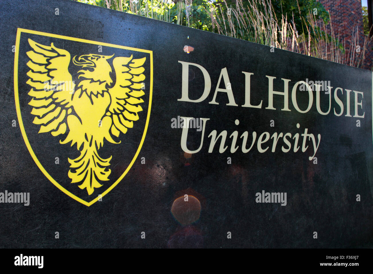 Dalhousie university hi-res stock photography and images - Alamy
