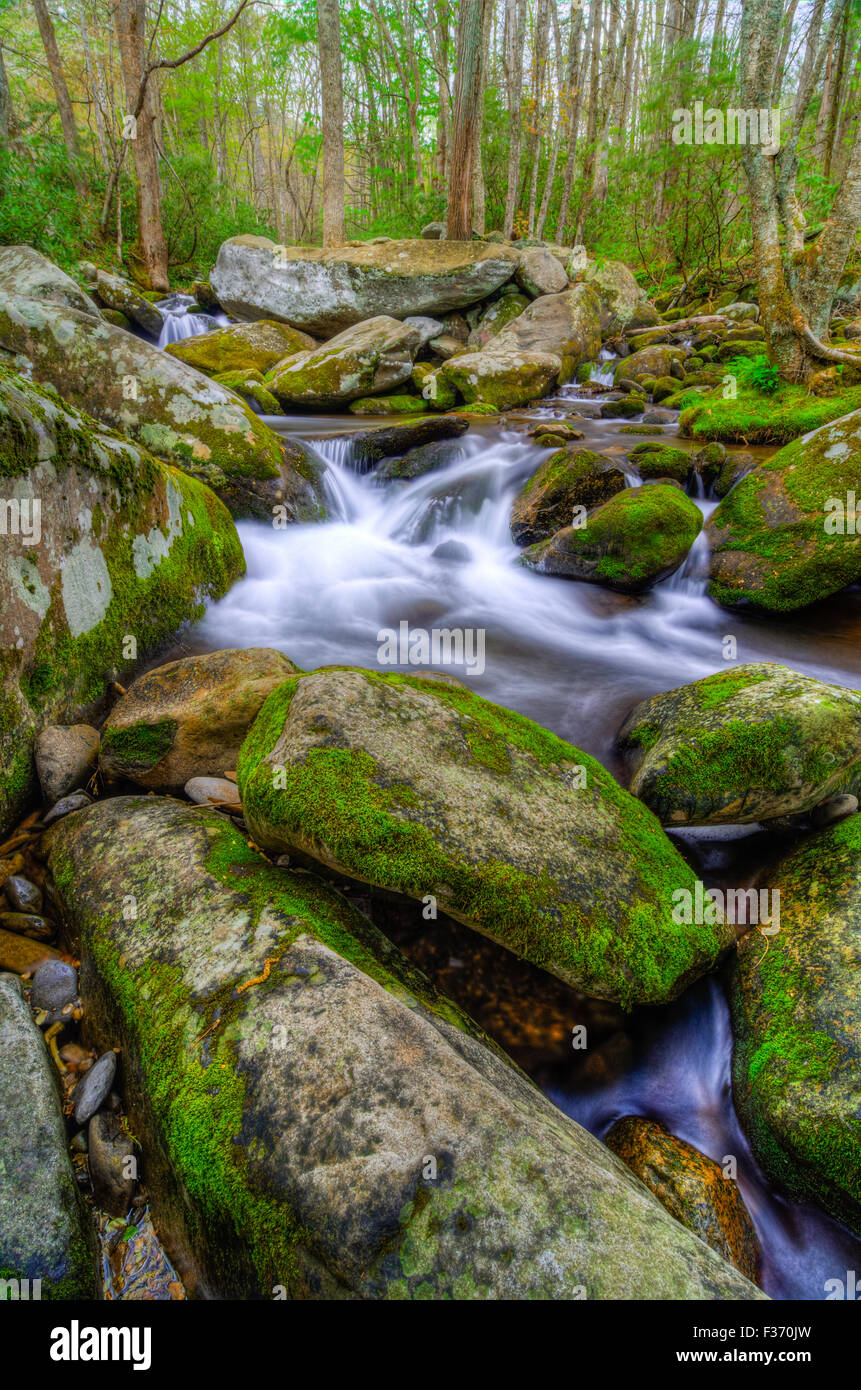 The Roaring Fork Motor Nature Trail in the Great Smoky Mountains ...