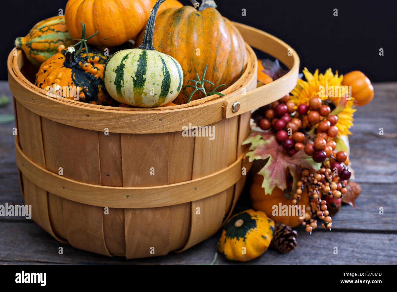 Pumpkins and variety of squash in a harvest basket Stock Photo - Alamy