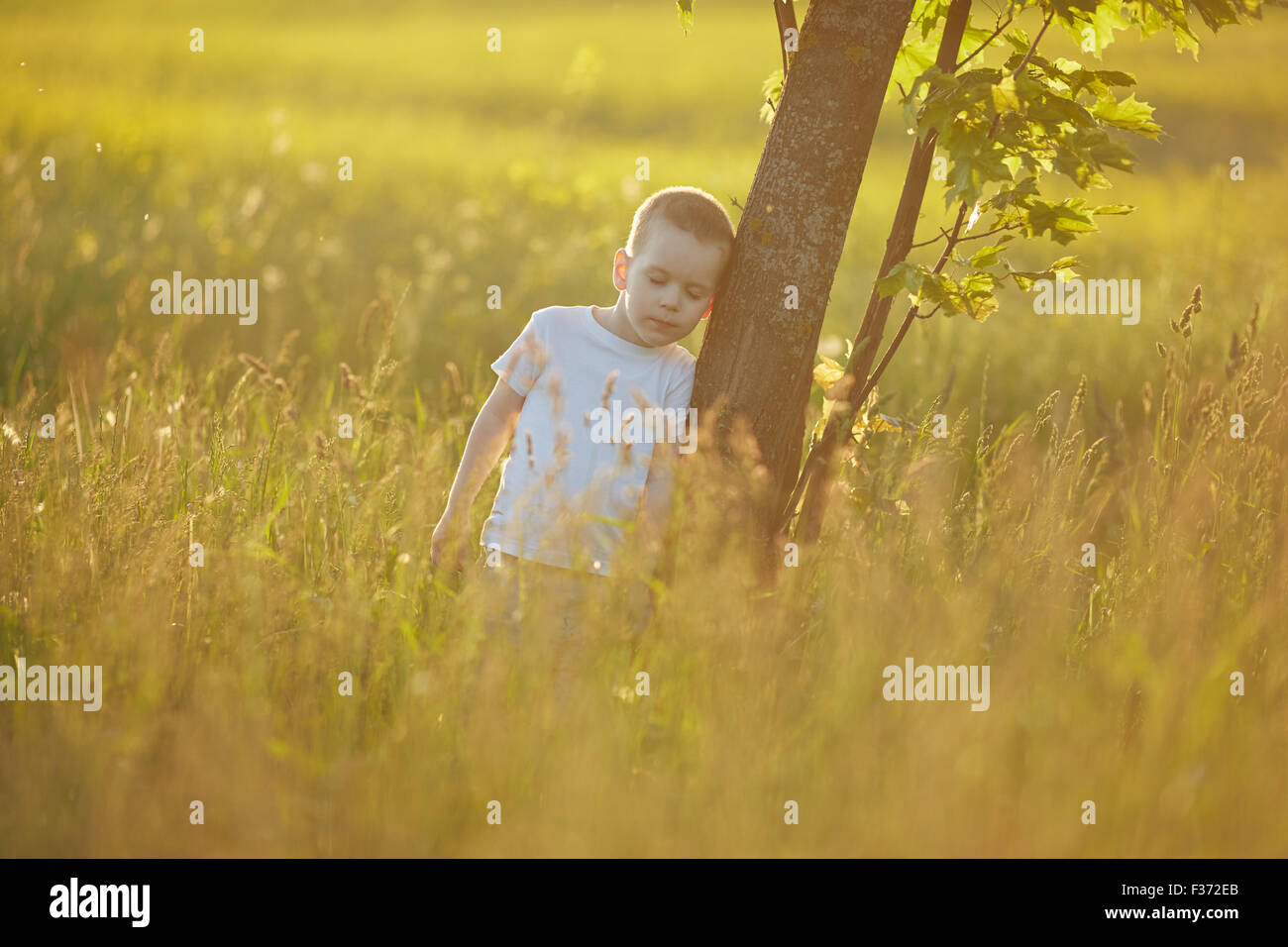 boy is leaning against a tree Stock Photo - Alamy