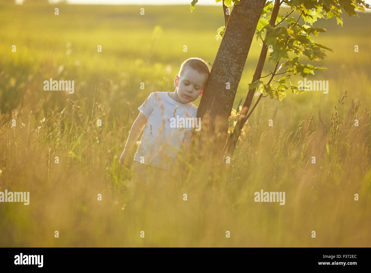 boy is leaning against a tree Stock Photo - Alamy