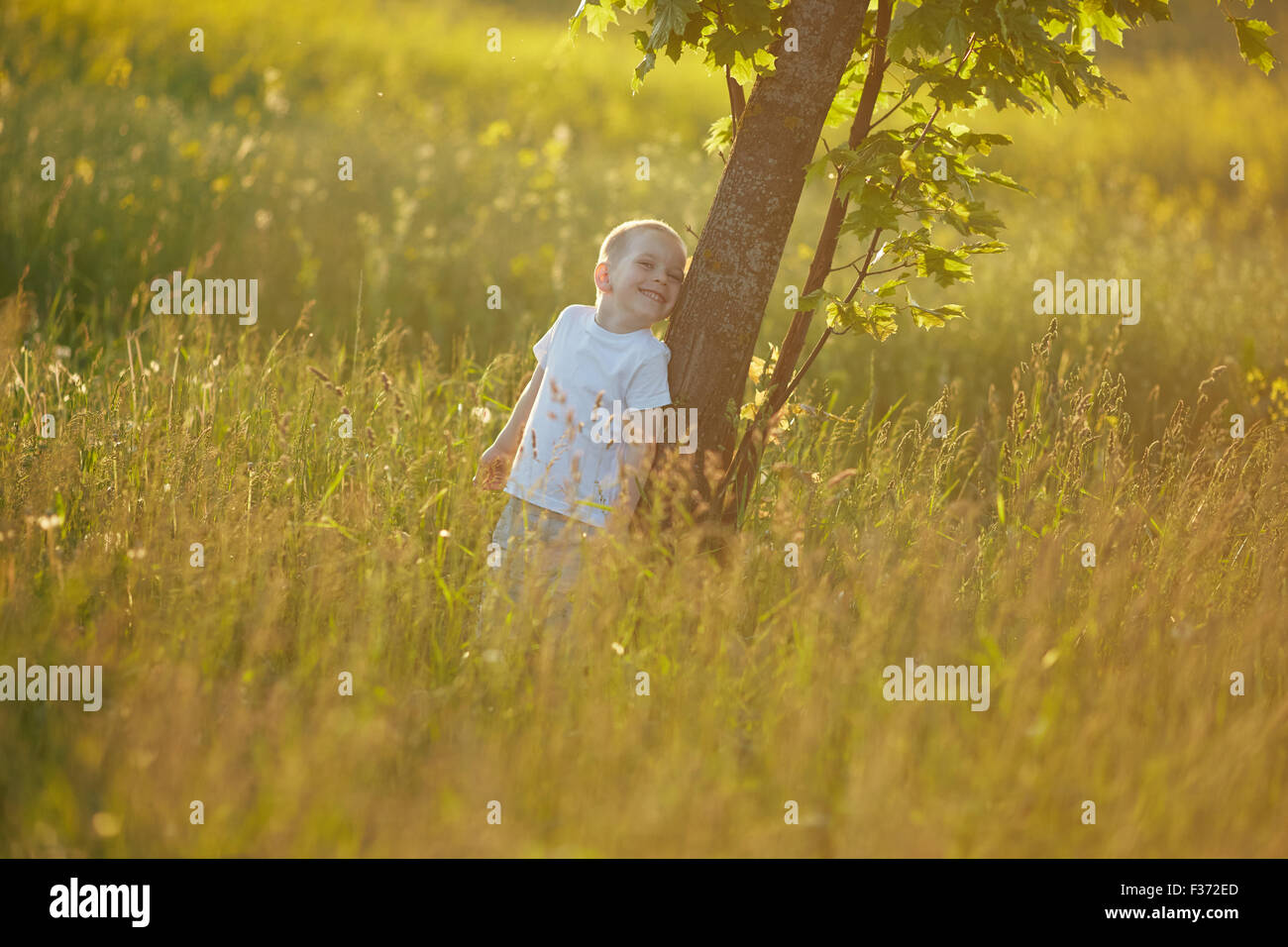 boy is leaning against a tree Stock Photo - Alamy