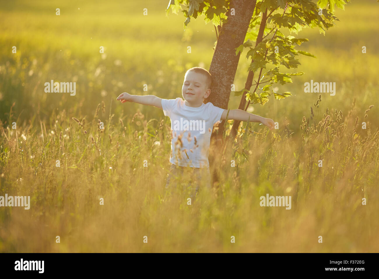 boy is leaning against a tree Stock Photo - Alamy