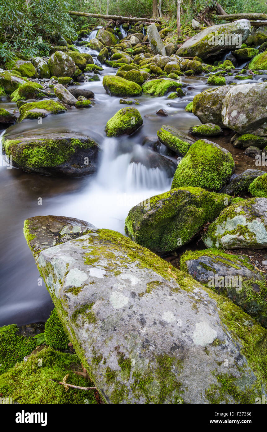 The Roaring Fork Motor Nature Trail in the Great Smoky Mountains ...