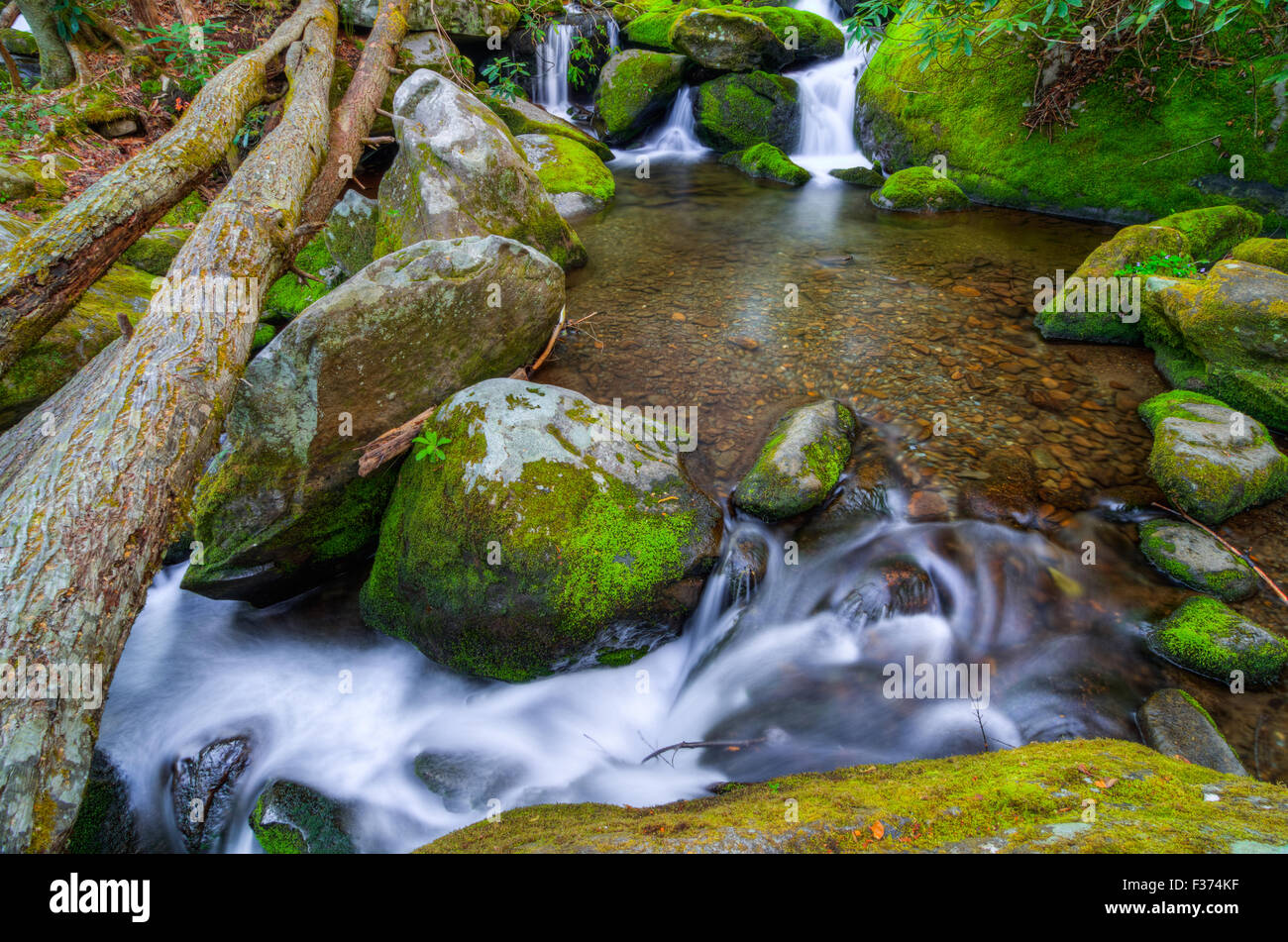 The Roaring Fork Motor Nature Trail in the Great Smoky Mountains ...
