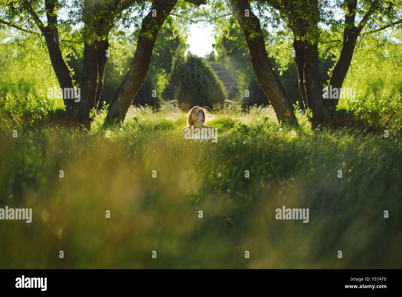 Between two trees hi-res stock photography and images - Alamy