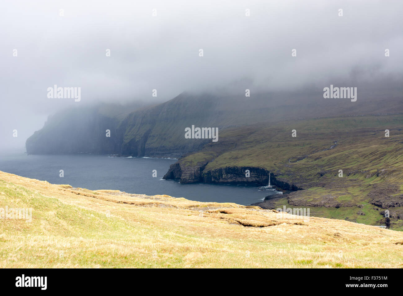 Typical landscape on the Faroe Islands, with ocean, green grass and ...