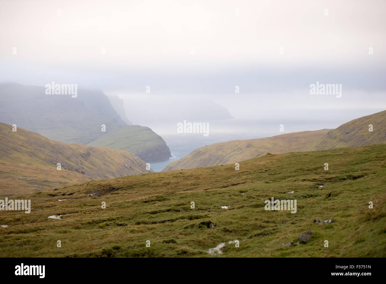 Beautiful landscape on the Faroe Islands, with green grass and ...