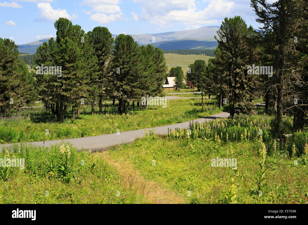 Sports complex Seminsky. Year round training center biathletes Stock ...